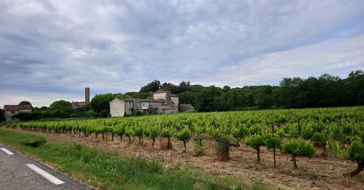 Tour médiévale (Boucoiran-et-Nozières) | Cévennes Tourisme