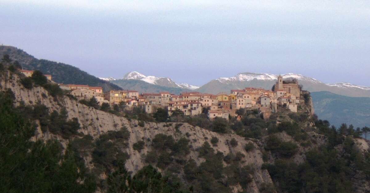 Eleveur d’ovins brebis brigasques Alan Quint (Breil-sur-Roya ...