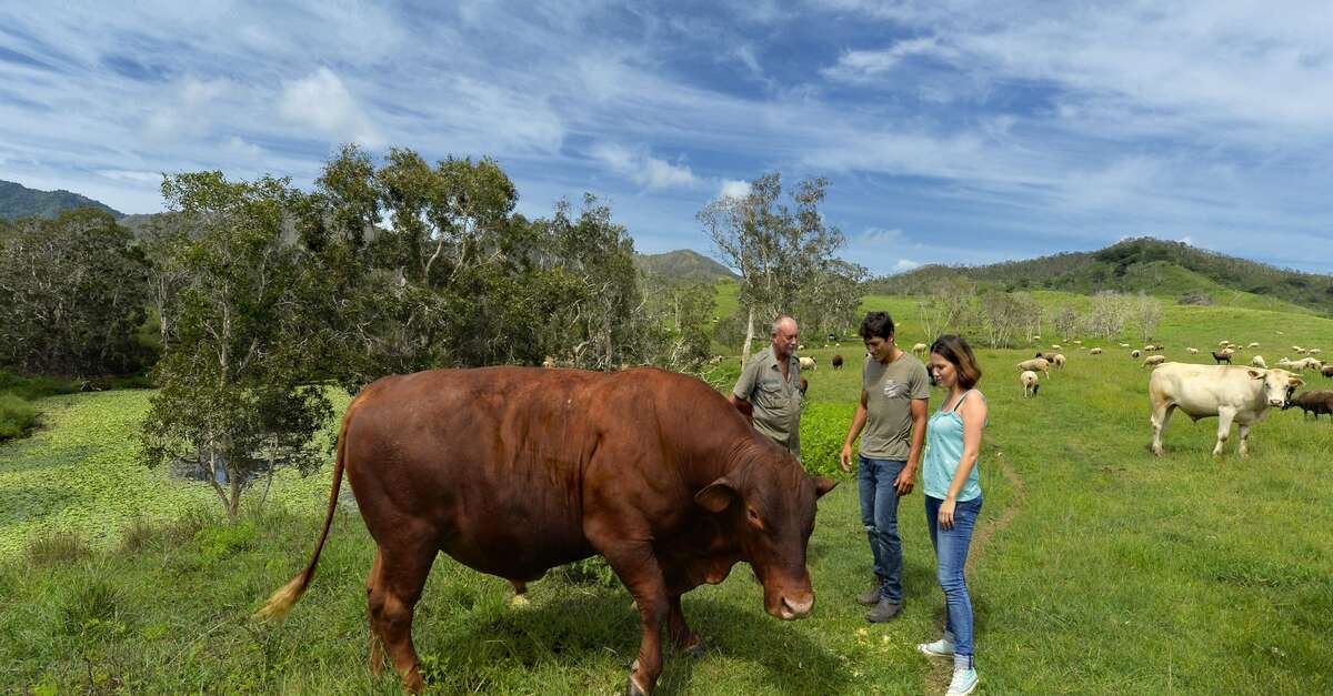 Pocquereux Randonnées (La Foa) | New Caledonia Tourism: The official ...