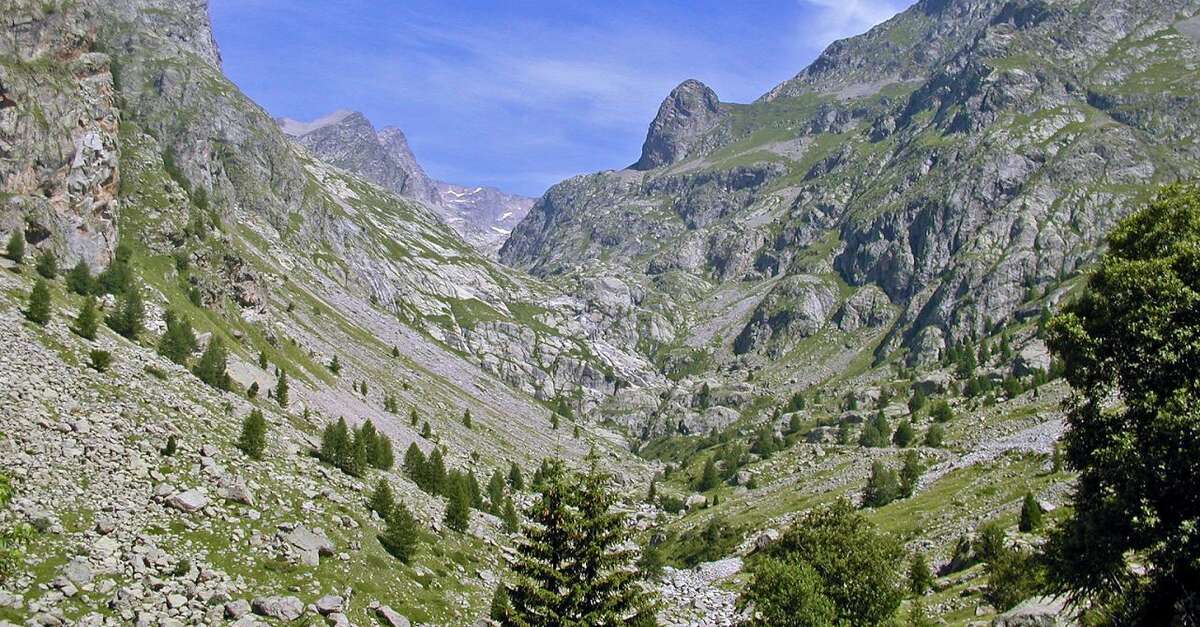 Sortie de terrain : A la découverte des oiseaux en Gordolasque – Fête ...