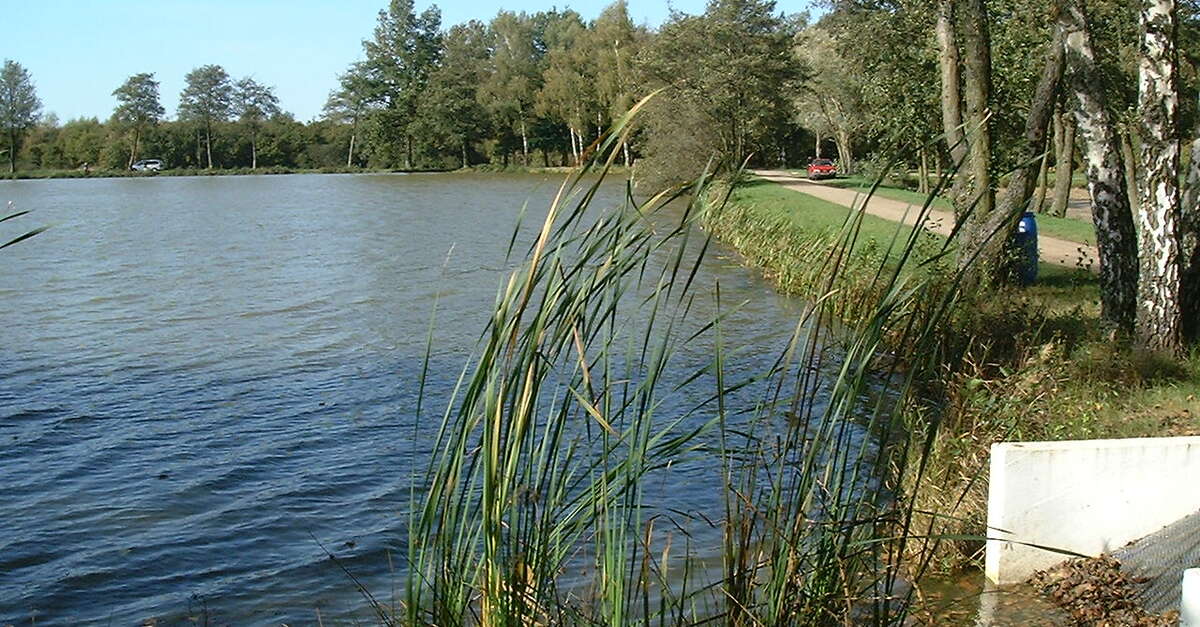 Circuit de la Nizière (Saint-Nizier-le-Désert) | Dombes Tourisme ...