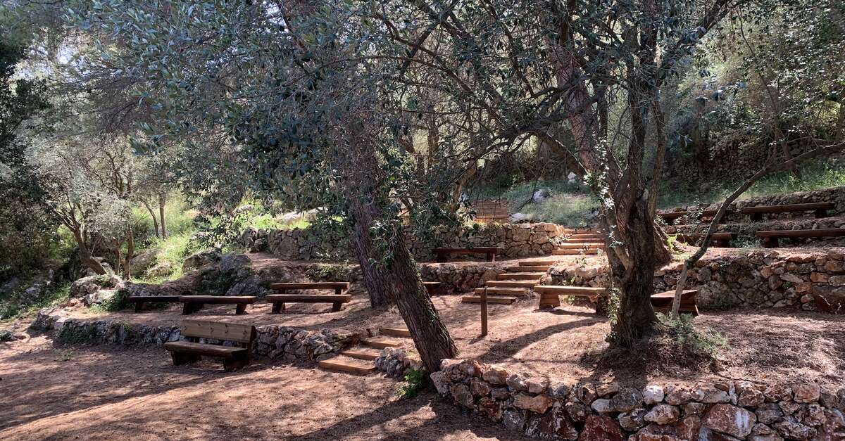 Parc foret de Grima (Beausoleil) | Provence-Alpes-Côte d'Azur Tourisme
