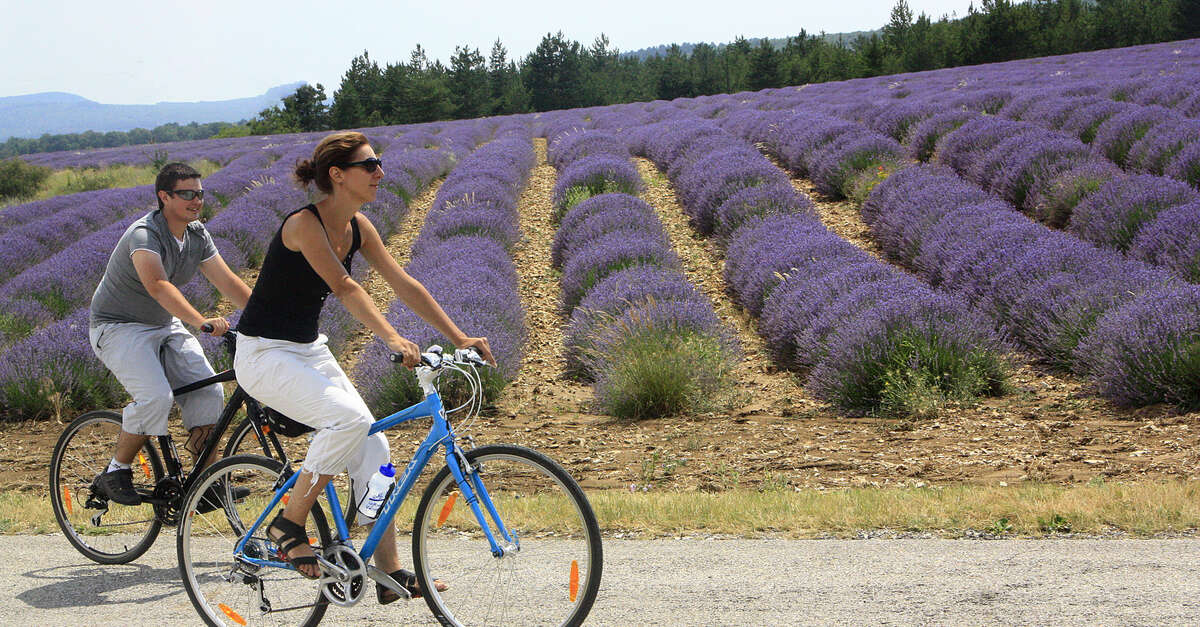 23 – The Plateau de Sault by bike (Sault) | Provence-Alpes-Côte d'Azur ...