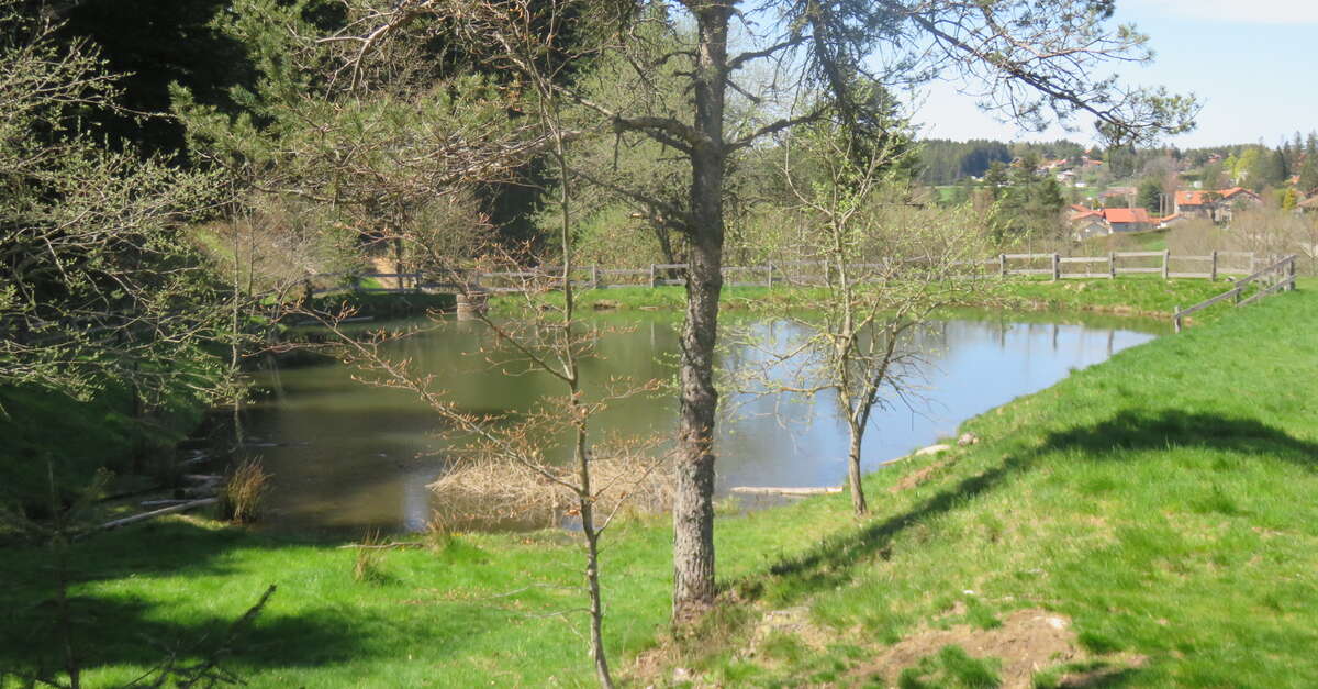 Plan d'eau du Tremplin - Le Bessat | Office de Tourisme du Pilat