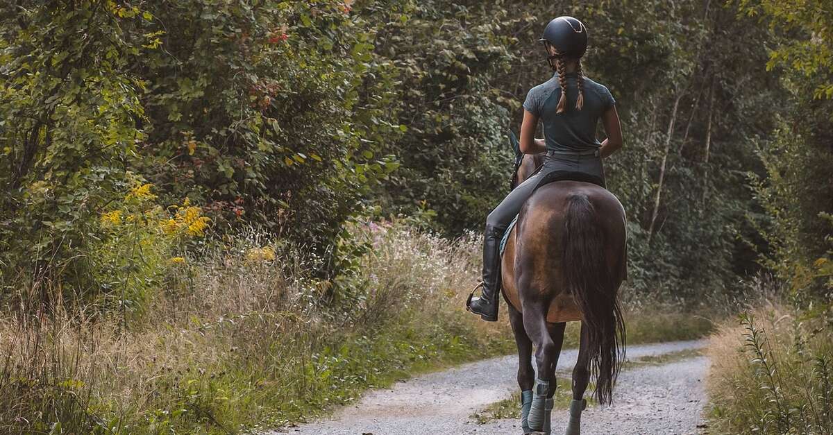 Circuits équestre autour d’Usson-en-Forez (Usson-en-Forez) | Loire Tourisme