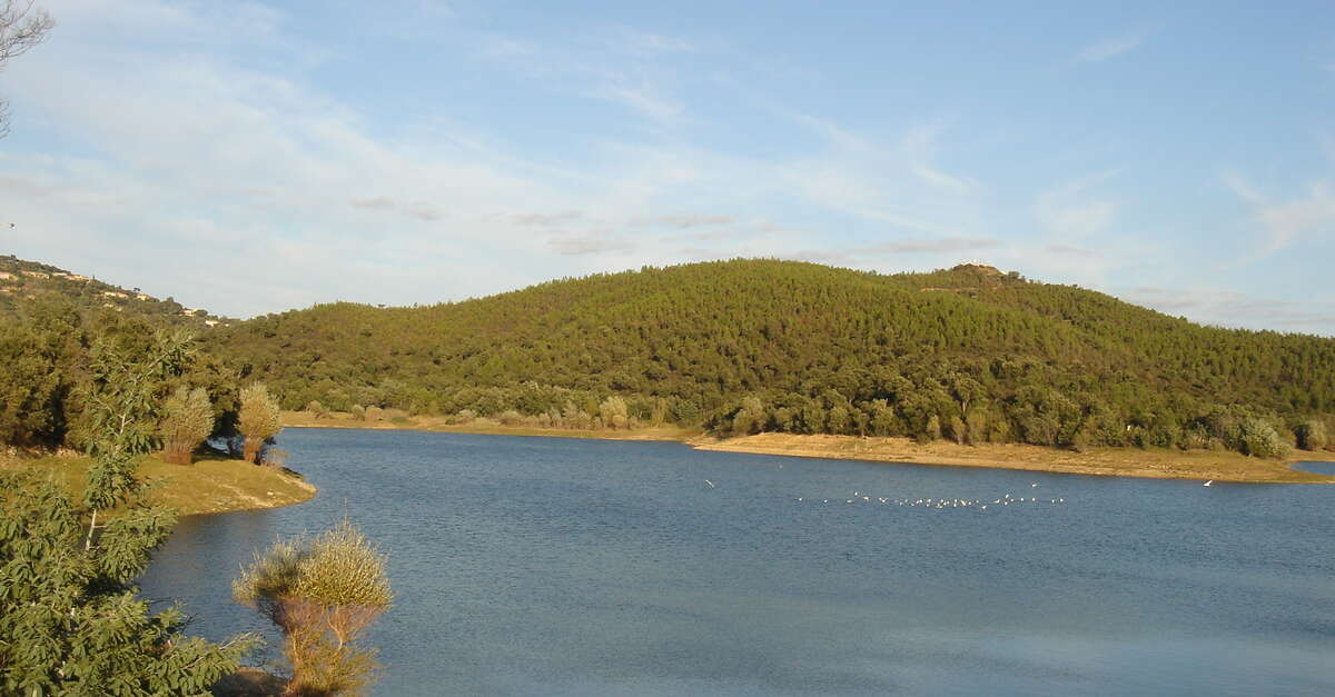 Randonnée – Autour du Lac du Trapan (Bormes-les-Mimosas) | Côte d’Azur ...