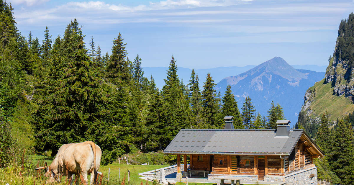 Wandelroute : De alpenweide en zijn geschiedenis (Flaine) | Haute ...