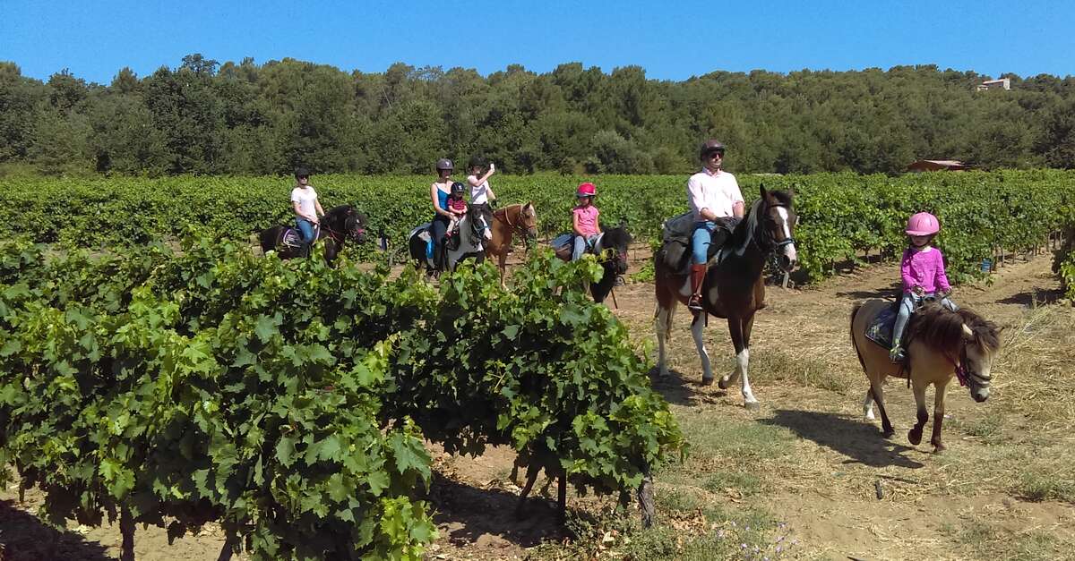 Equestrian centre le Poney Rouge (Villes-sur-Auzon) | Provence-Alpes ...