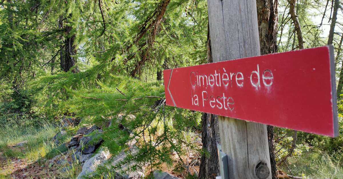 The Lariey cemetery, also known as the Plague Cemetery (Puy-Saint ...