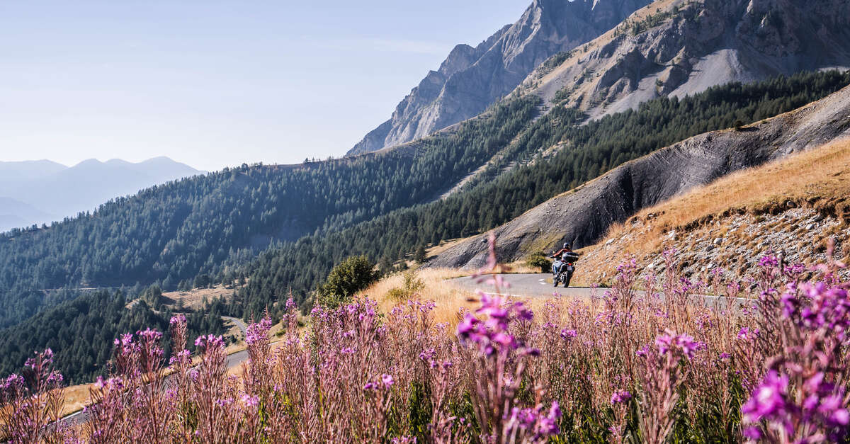 Col des Champs (Colmars) | Provence-Alpes-Côte d'Azur Tourisme