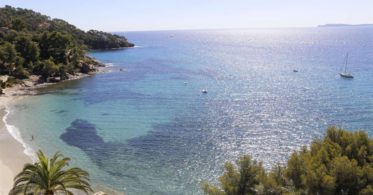 Plage du Rayol (Rayol-Canadel-sur-Mer) | Provence-Alpes-Côte d'Azur Tourism