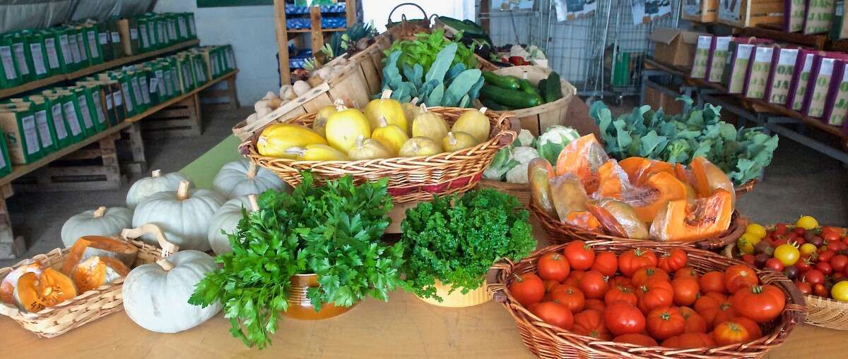 Oasis, Jardin de Cocagne (Saint-Just-Saint-Rambert) | adt-loire