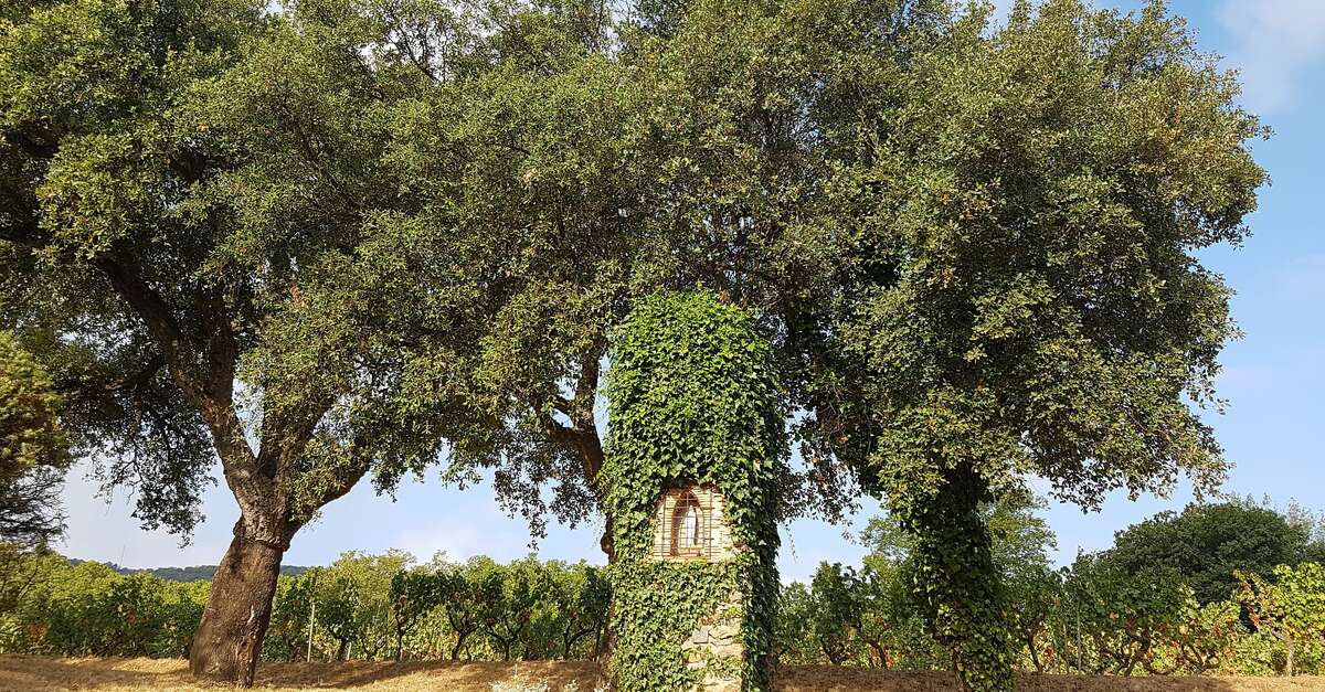 Oratoire Minuty (Gassin) | Provence-Alpes-Côte d'Azur Tourism