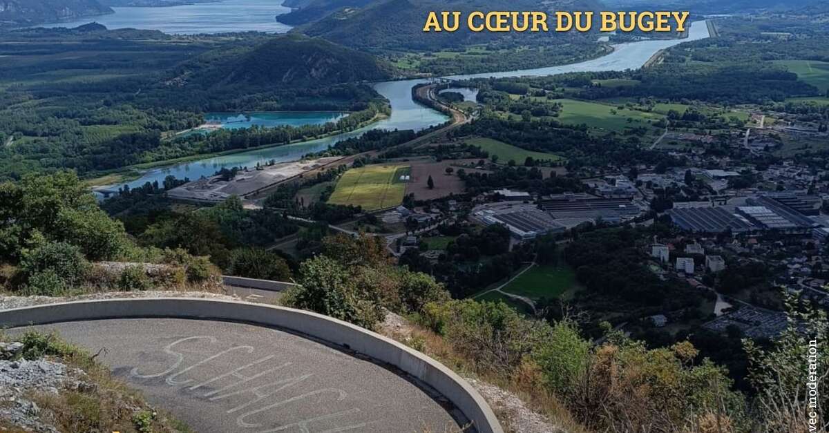 La Fête du Gin à la distillerie du Bugey (Saint-Martin-de-Bavel) | L'Ain