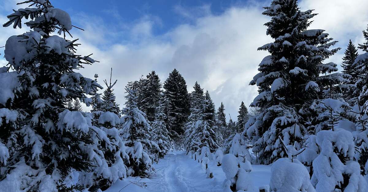 Sentiero con le ciaspole: Il giro delle Combe (Sallanches) | Haute ...