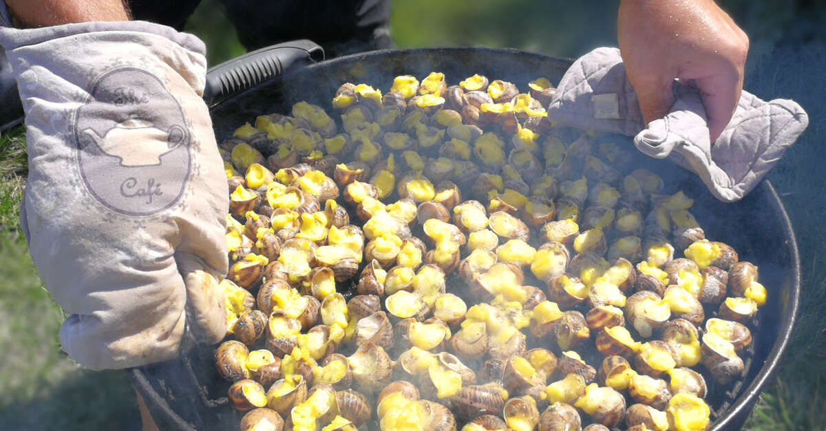 L’escargot des Valanques (La Motte-d’Aigues) | Provence-Alpes-Côte d ...