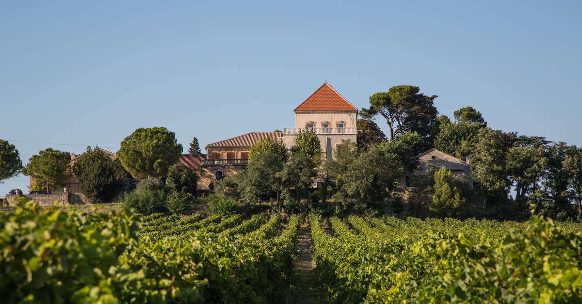 Château de Ruth (Sainte-Cécile-les-Vignes) | Provence-Alpes-Côte d'Azur ...