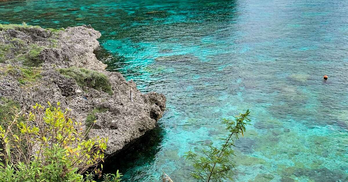 Cliffs of Jokin tours – WETRE TOURS (Lifou) | New Caledonia Tourism ...