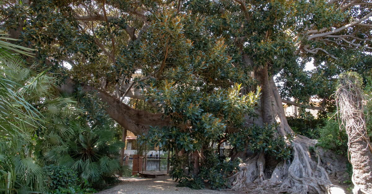 Musée et jardins Bicknell (Bordighera) | Destination Côte d’Azur France ...
