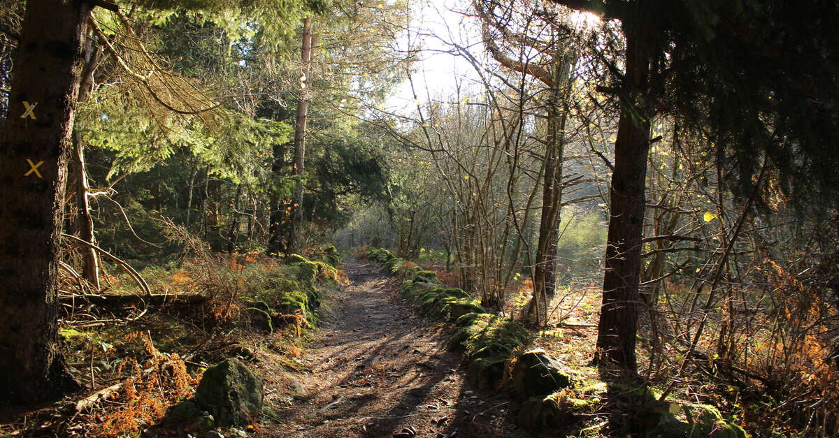 Le circuit des Mégalithes (Usson-en-Forez) | Loire Tourisme