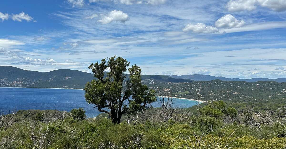 Domaine du Cap Lardier VTT (La Croix-Valmer) | Provence-Alpes-Côte d ...