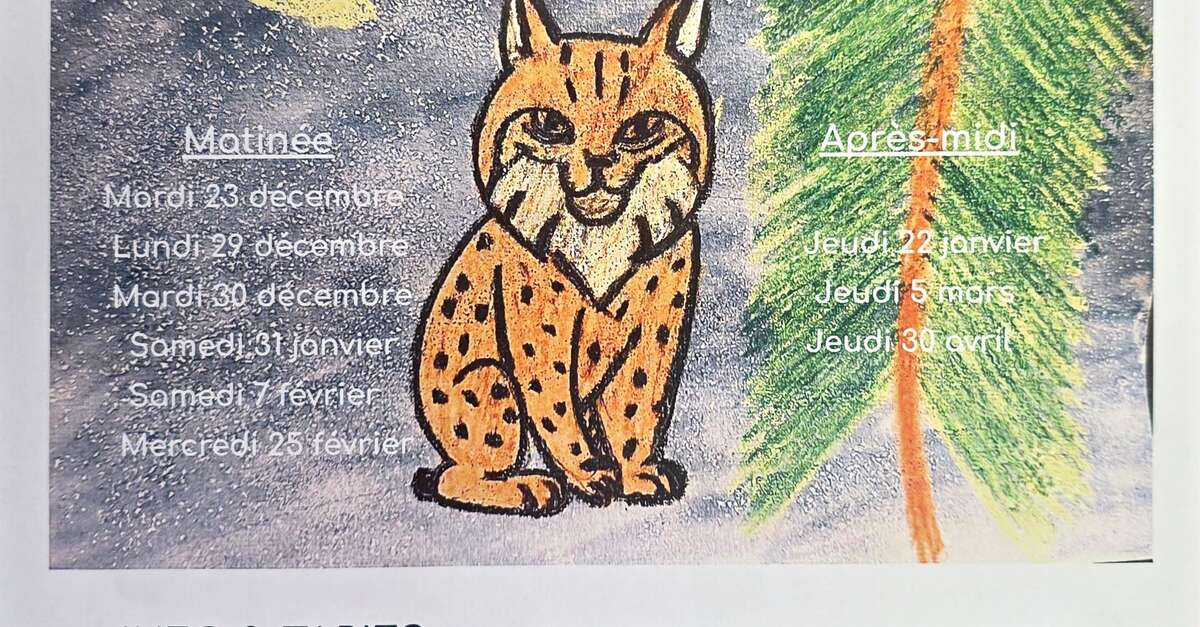 Immersion sauvage en territoire du Lynx (Haut-Valromey) | Office de ...