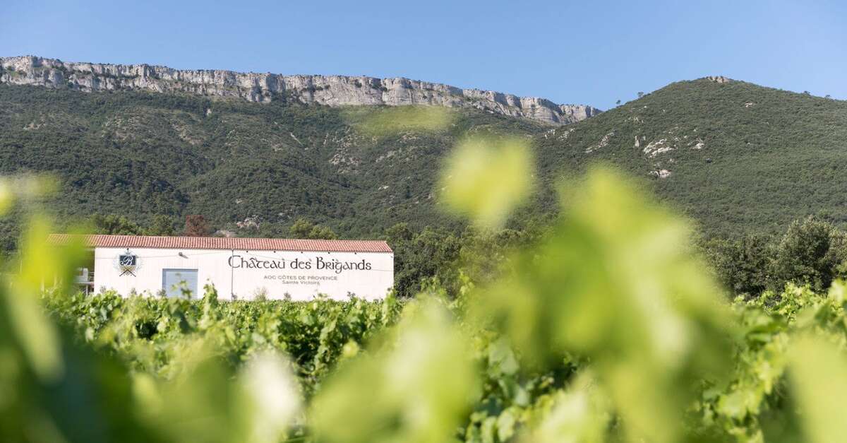 Château des Brigands (Pourcieux) | Provence-Alpes-Côte d'Azur Tourism