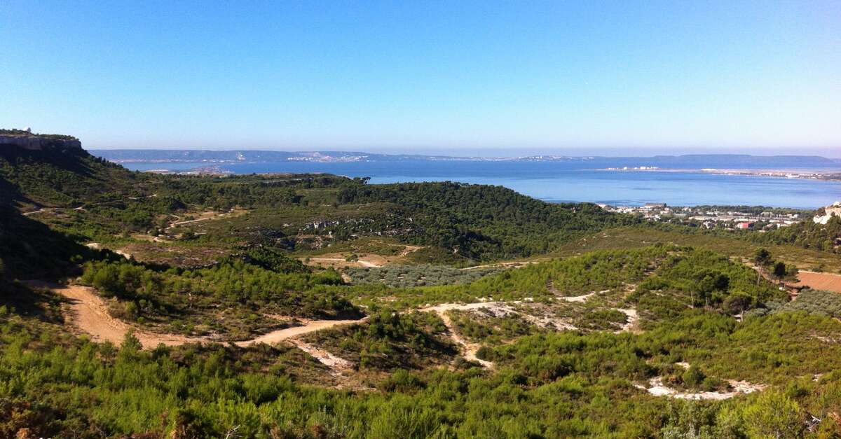 Balades au vert sur le Plateau de Vitrolles (Vitrolles) | Provence ...
