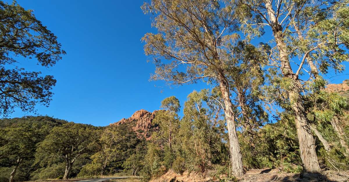 Randonnée : De Belle Barbe au Pont du Perthus (Saint-Raphaël) | Le Pass ...