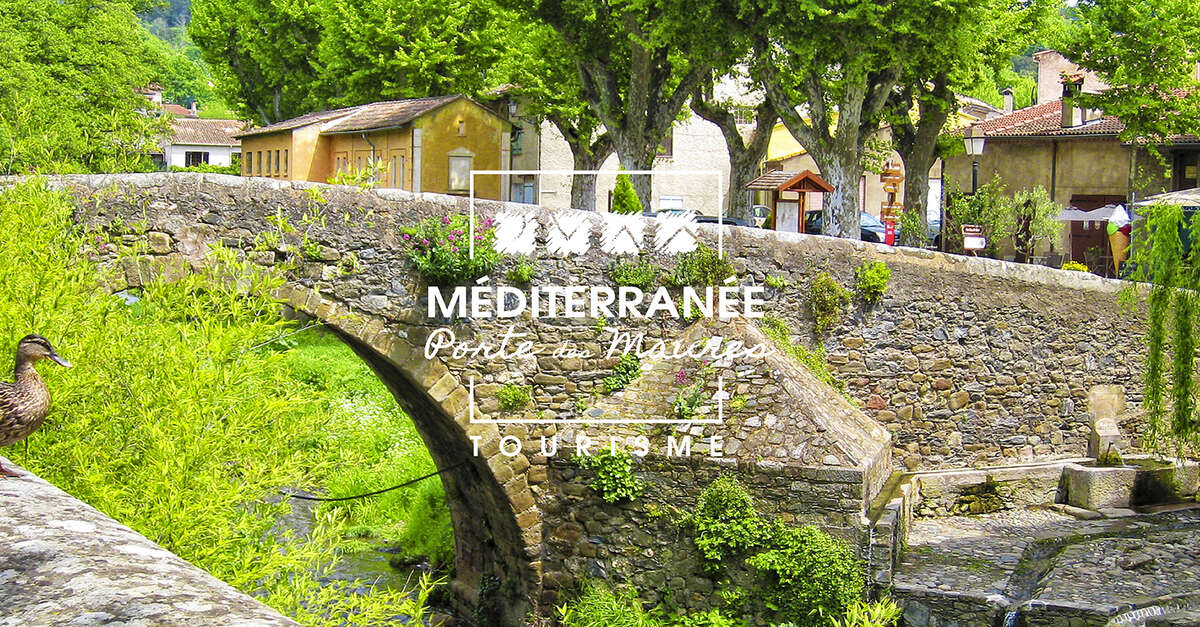 Autric Benoit (Collobrières) | Provence-Alpes-Côte d'Azur Tourisme