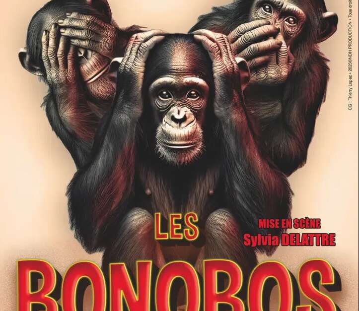 Les Bonobos (Nice) | Destination Côte d’Azur France – Le Site officiel