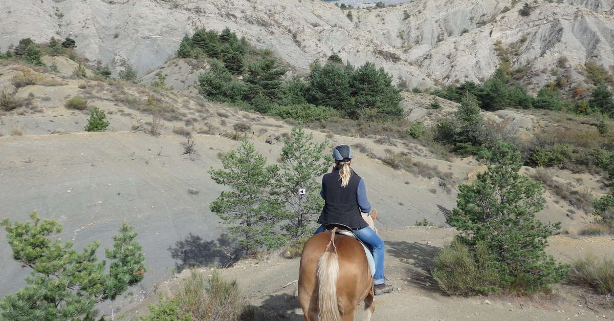 Equesterian centre Les Eysserennes (Savournon) | Provence-Alpes-Côte d ...