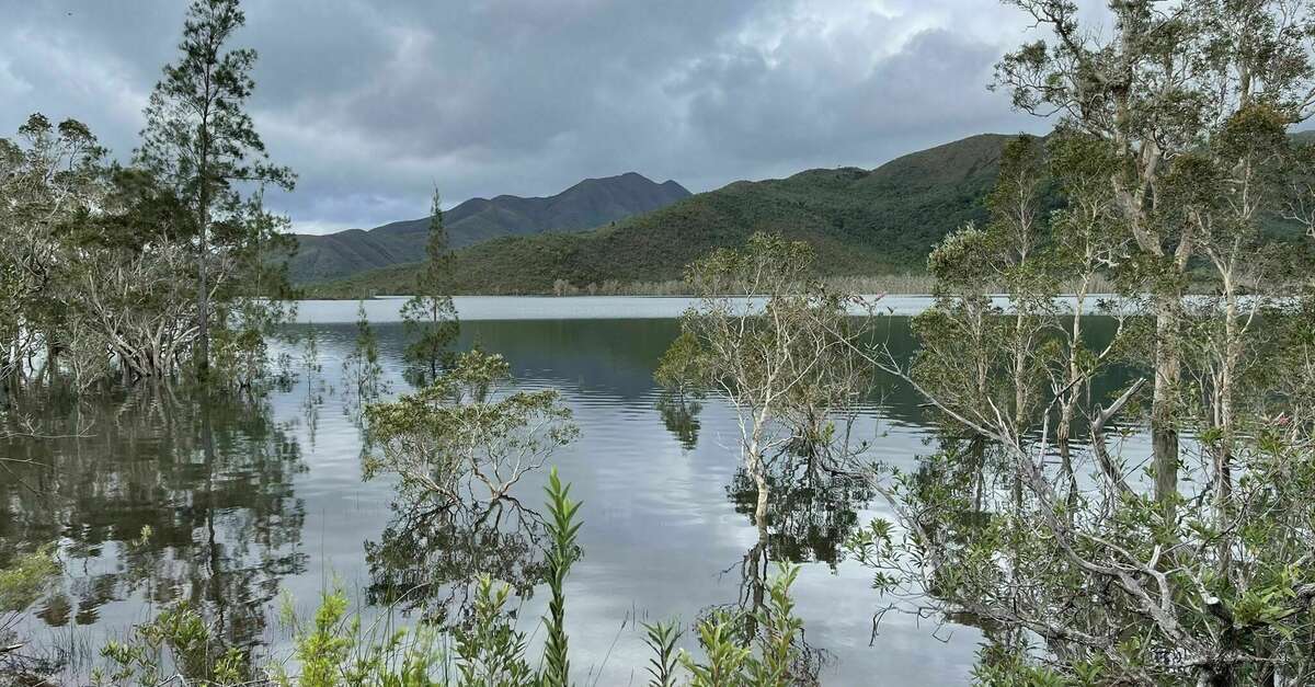 Piste 5 – Rivière Blanche au Parc Provincial de la Rivière Bleue (Yaté ...