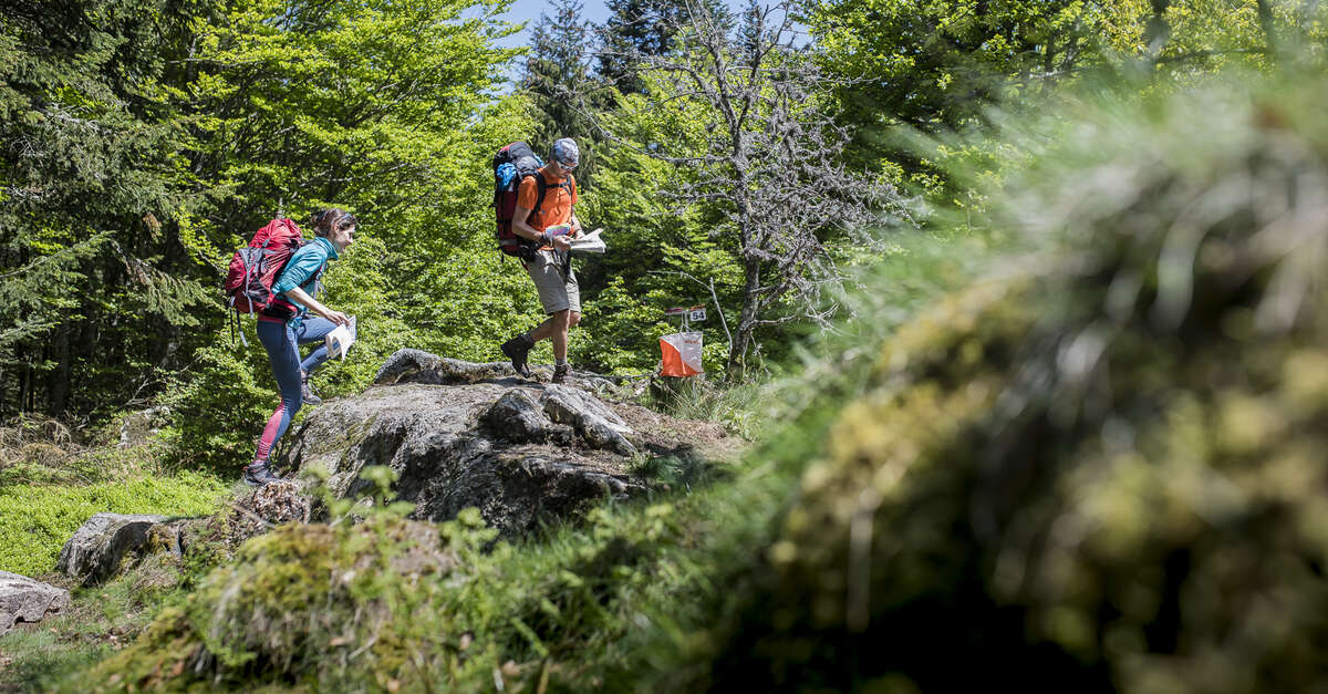 Laprugne Sud parcours rouge : Parcours permanent d’orientation de La Loge des Gardes (Laprugne ...