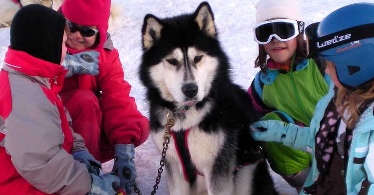 Frosted cocktail stay in Clarée – L’Echaillon (Névache) | Provence ...
