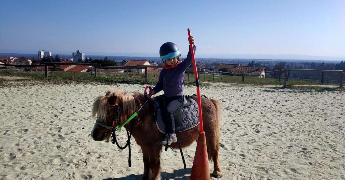 Balade en main avec poney Shetland (Montbrison) | Loire Tourisme