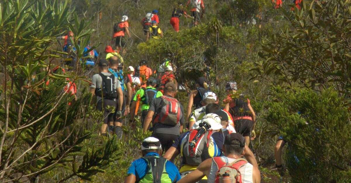 Trail des cagous (Boulouparis) | New Caledonia Tourism: The official ...