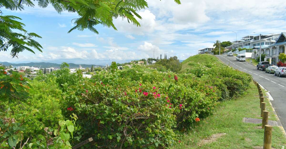 Forêt Sèche du Mont Vénus (Nouméa) | Sud Tourisme Nouvelle-Calédonie