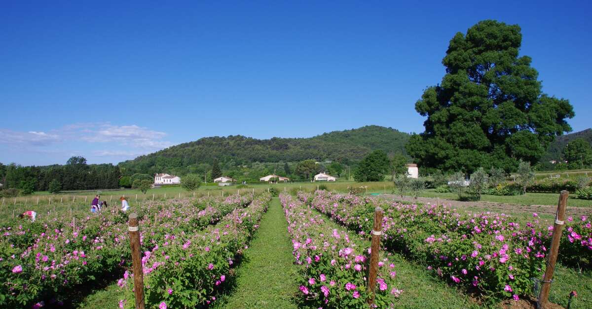 Le Clos de Callian (Callian) | Provence-Alpes-Côte d'Azur Tourisme