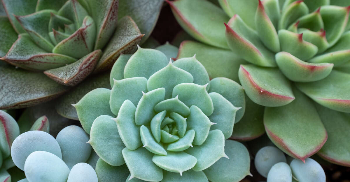 Atelier pratique : Structure insolite (Annecy) | Haute-Savoie Mont-Blanc