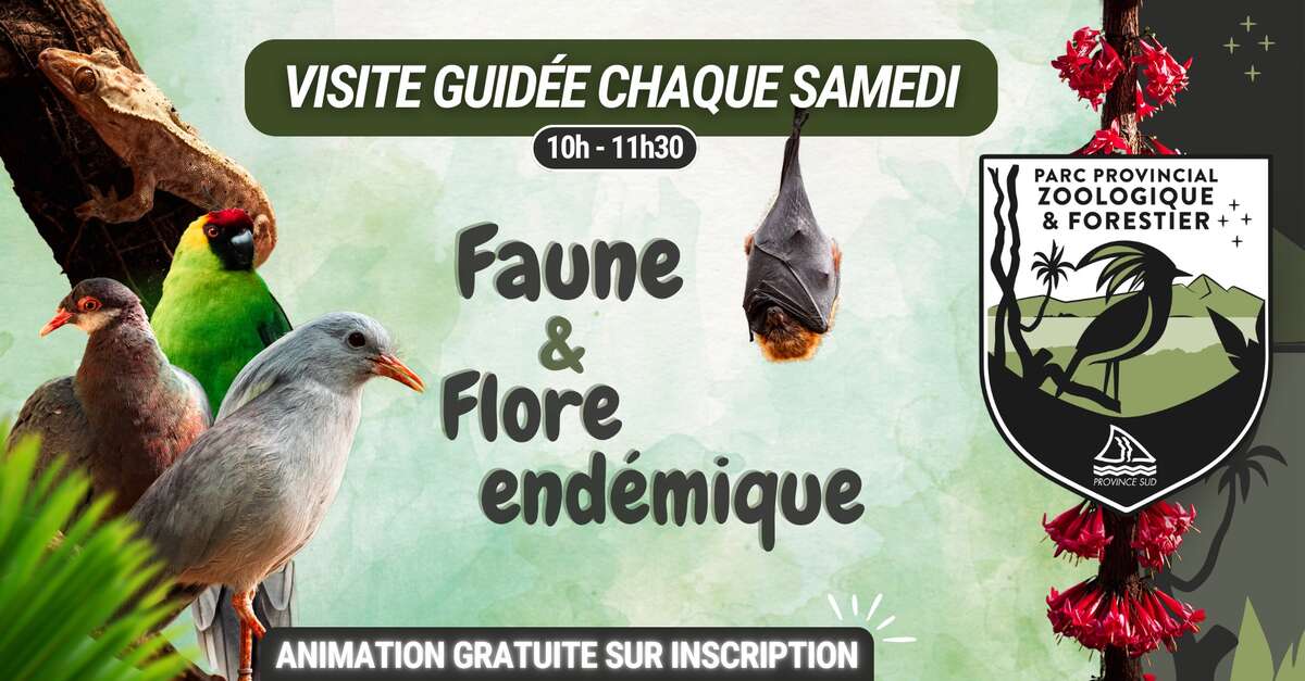 Faune et flore endémique – Parc Zoologique et Forestier (Nouméa) | New ...
