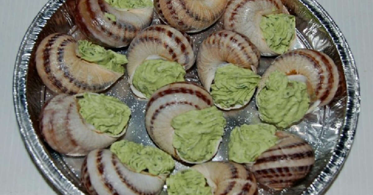 L’Escargot des Alpilles (Saint-Rémy-de-Provence) | Provence-Alpes-Côte ...