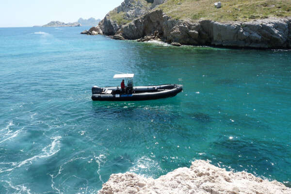 Semi-rigid – Transfer to the restaurant (Marseille) | Marseille Tourism