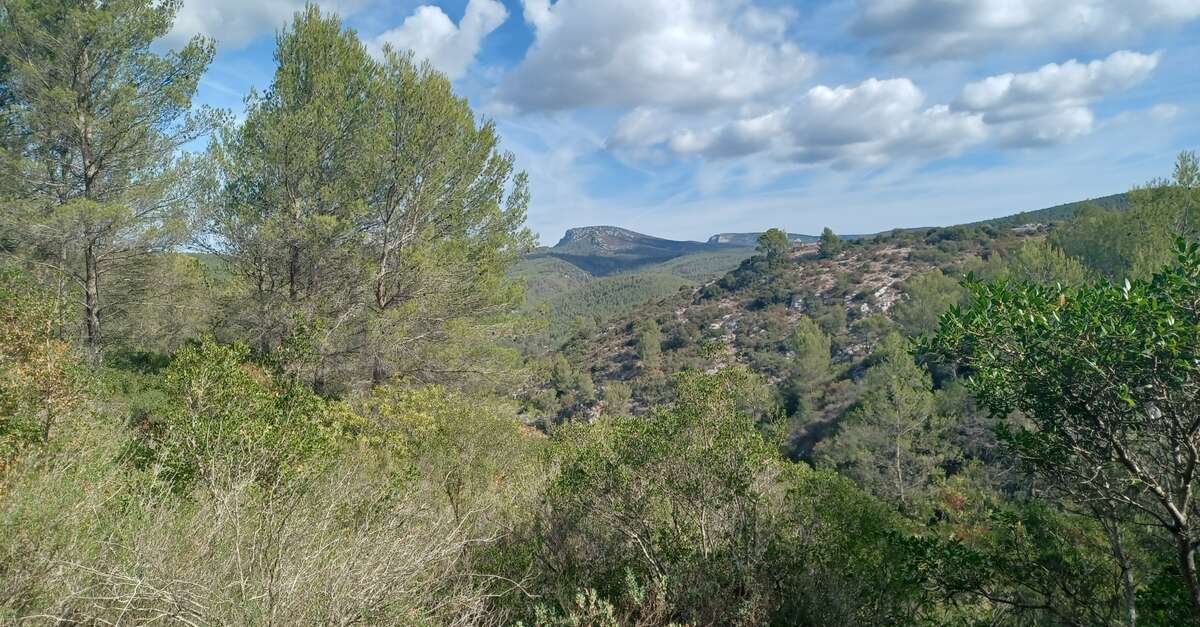 La crête de la Sainte-Baume (Cuges-les-Pins) | Provence-Alpes-Côte d ...