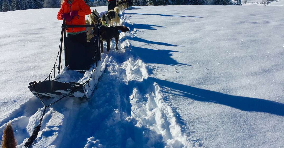 Introduction to dog sledding with Qimmiq (Mijoux) | ADT Ain