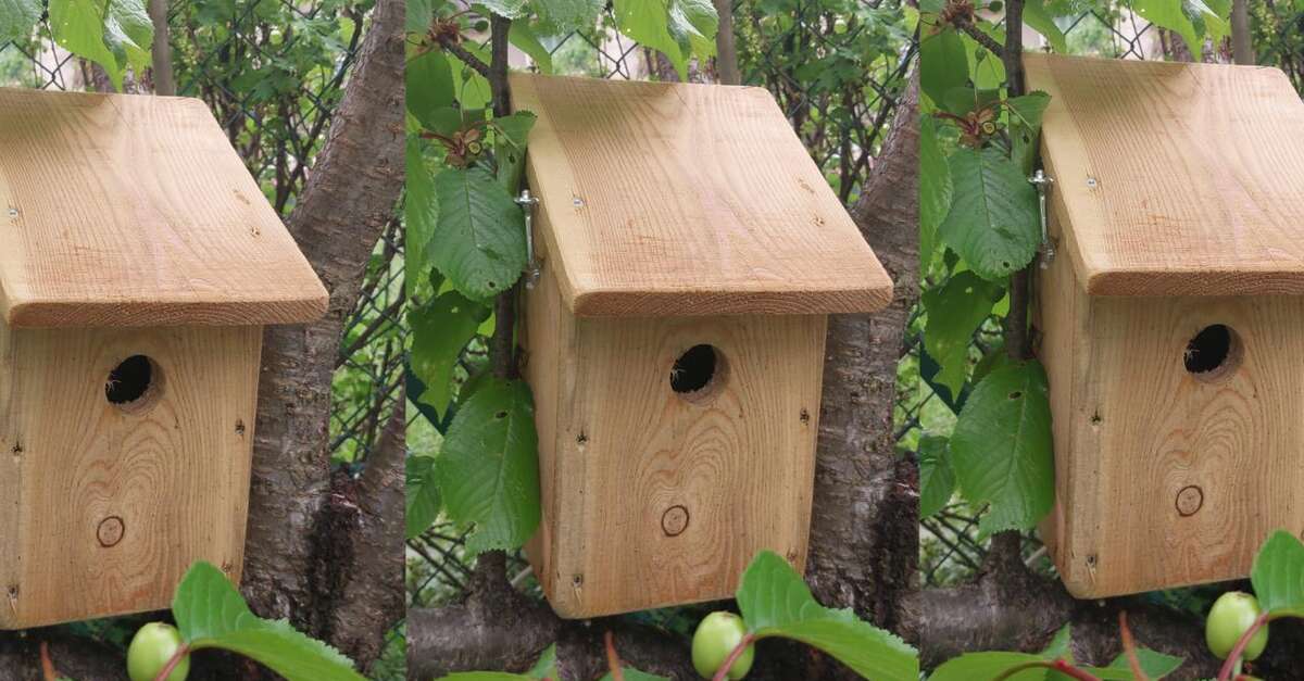 Atelier ‘nichoirs à oiseaux’ et protection de la nature – Fête de la ...