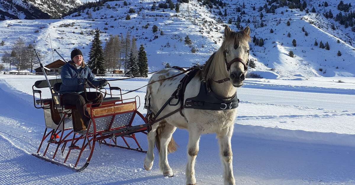 Balade en traineau équin (Ceillac) | Vacances montagne dans le Queyras ...
