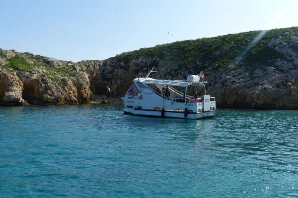 2-hour ecological tour: the biodiversity of Marseille’s islands ...