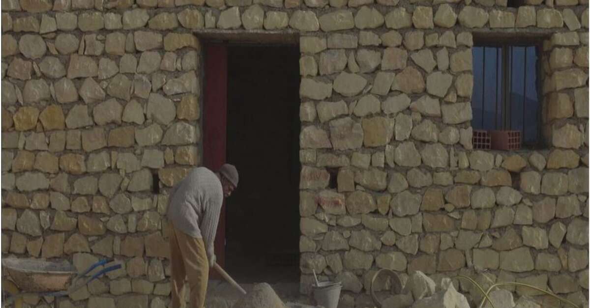 La Guêpe et l’orchidée Aflam 2025 Cinéma De Saber Zammouri (Tunisie, France, 1h06 ...