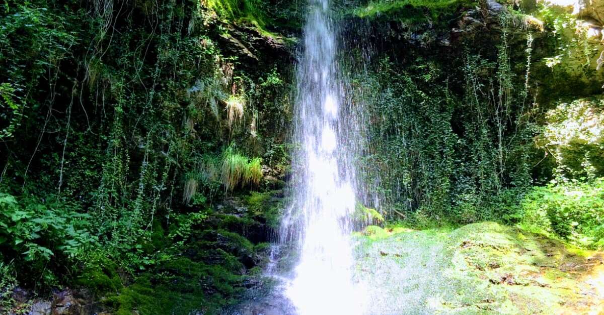 R.E.N. – Association Roya Expansion Nature (Saorge ...